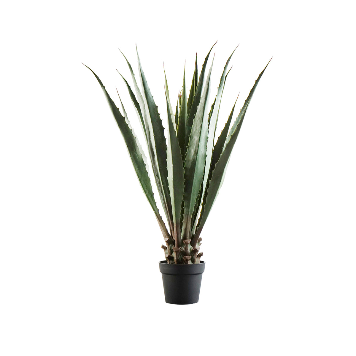 Agave en Maceta -A112 – andorrahome